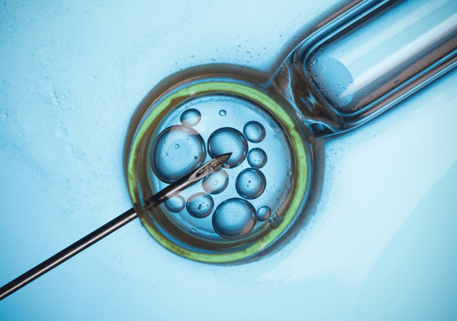 How Does Intrauterine Insemination Work? The Procedure – Binto