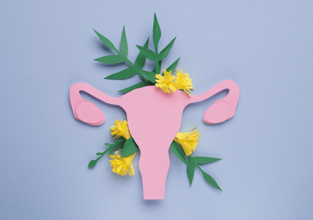 Progesterone Impact On Your Period Fertility And Pregnancy Binto
