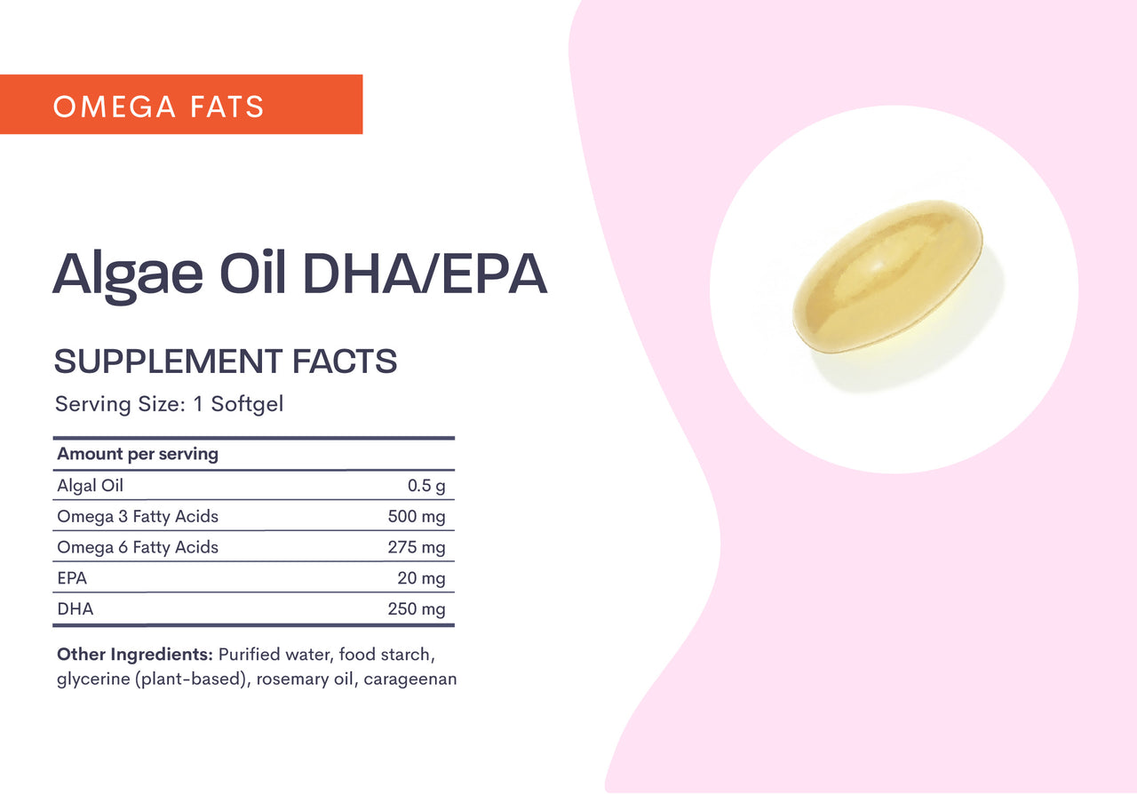 Collections – Binto